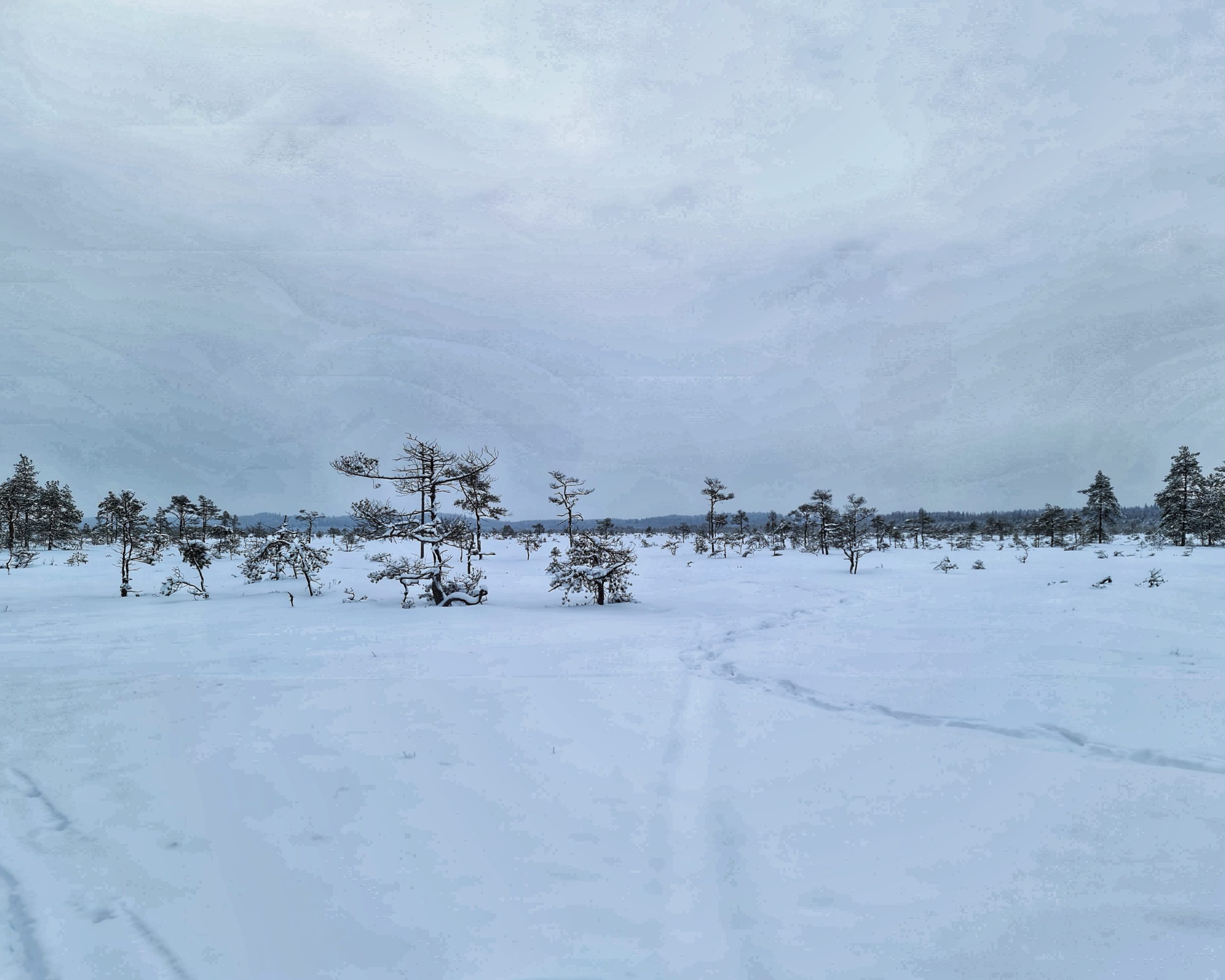 Talviloma 2021 majoitukset edullisesti meiltä - FMT